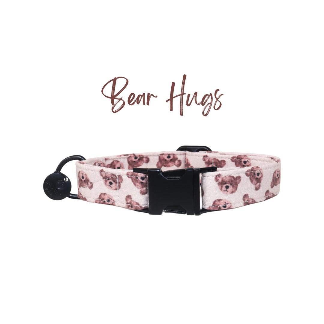 Teddy Bear Dog Collar, Boy Puppy Collar, Neutral Martingale or Flat ...