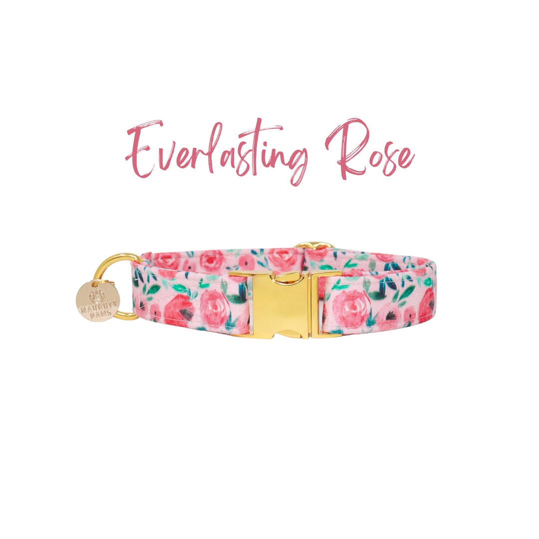 Pink Roses Dog Collar, Valentine Floral Collar, Custom Spring Puppy ...