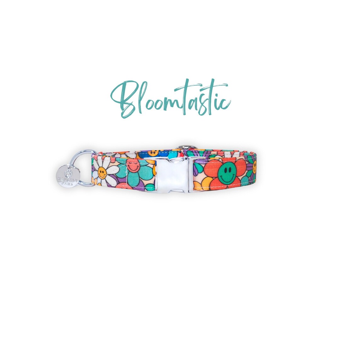 Retro Smiley Daisy Dog Collar, Groovy Puppy Collar, Spring Floral Dog ...