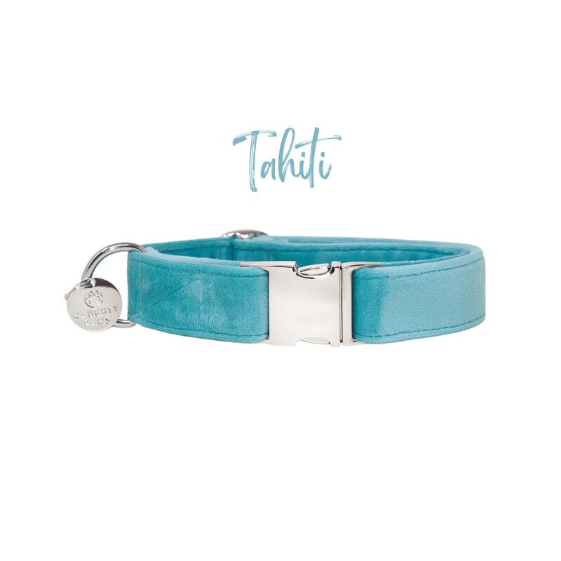 Turquoise Dog Collar - Etsy