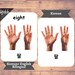KOREAN Numbers Counting Flashcards Learn Korean Toddler | Etsy