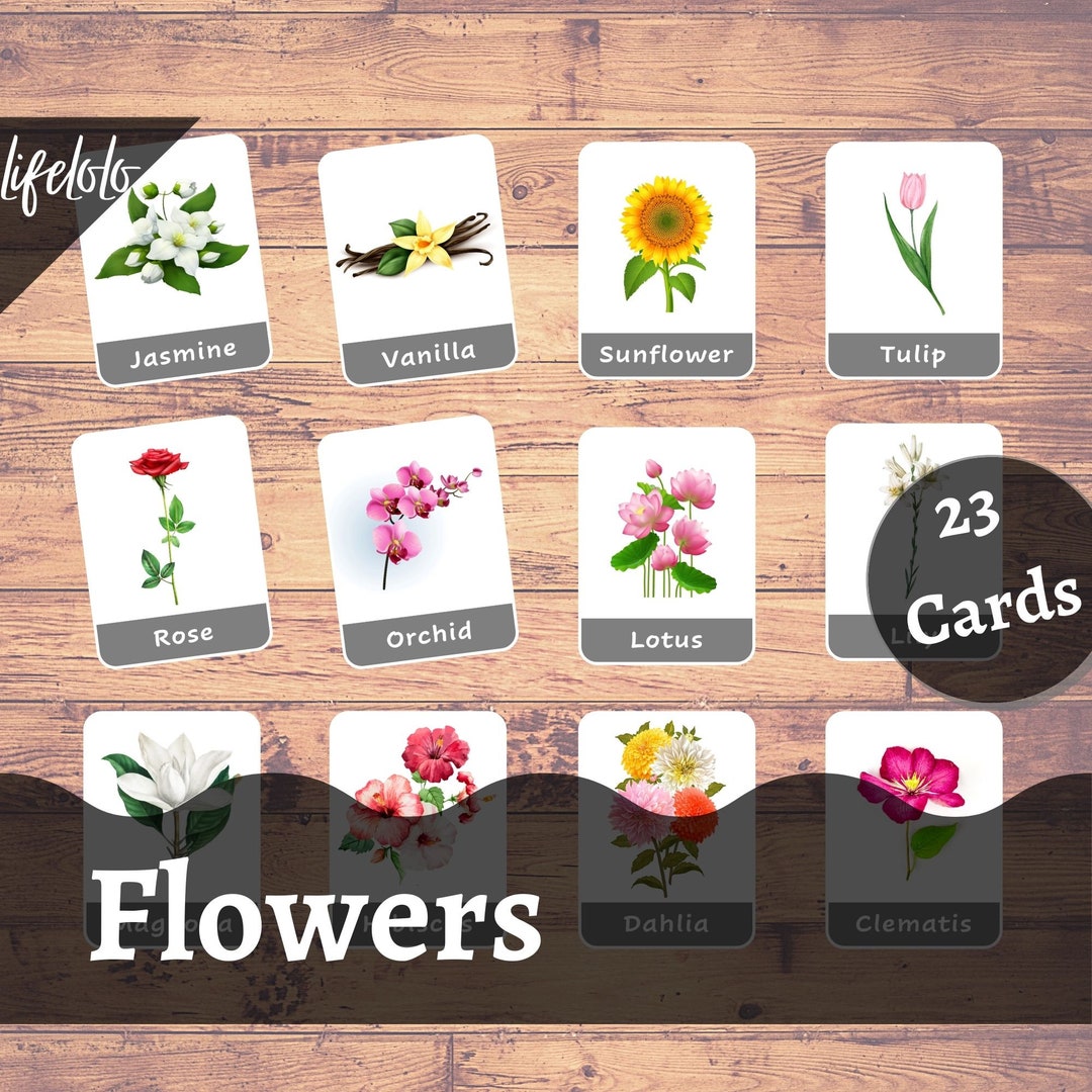 Types of Flowers Flash Cards | 23 Montessori Cards | Homeschooling ...