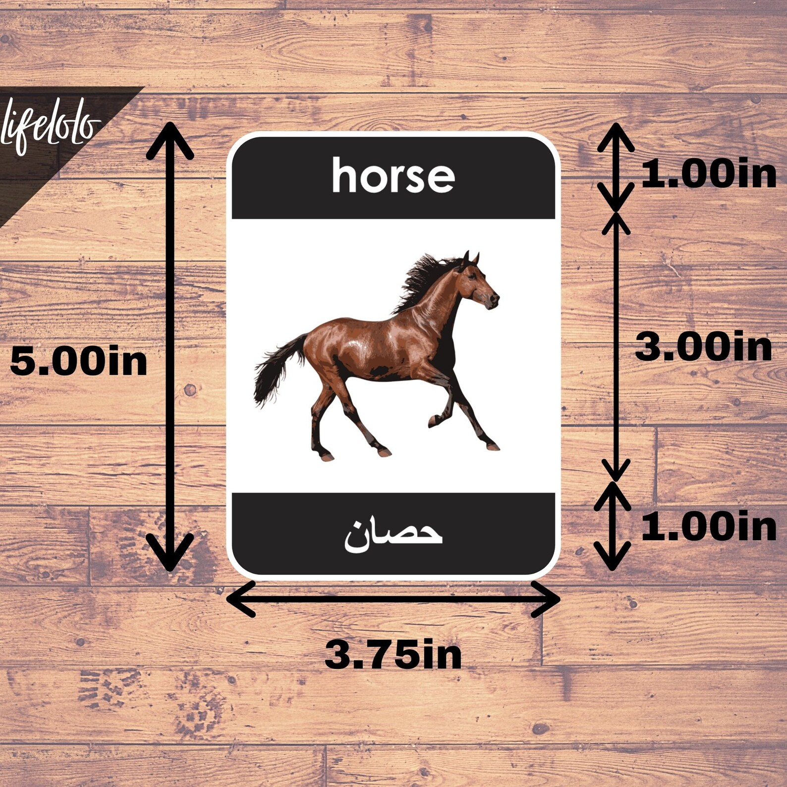 Farm Animals ARABIC English Bilingual Cards 27 Arabic | Etsy