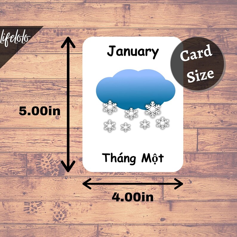 Months of the Year VIETNAMESE Flash Cards, 12 Bilingual Cards ...