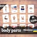Body Parts (real) | UKRAINIAN | English Bilingual Cards | 24 Ukrainian ...