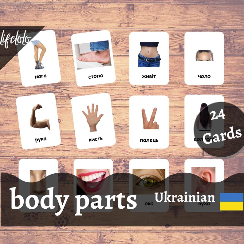 Body Parts (real) | UKRAINIAN | English Bilingual Cards | 24 Ukrainian ...