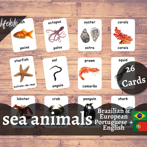 Sea Animals Portuguese English Bilingual Cards Portuguese - Etsy
