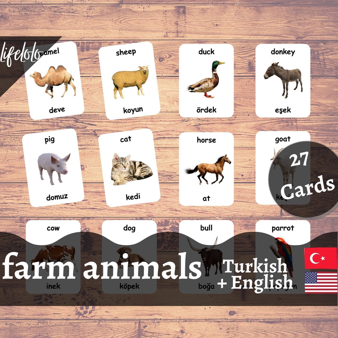 Farm Animals, Turkish Flash Cards, English Bilingual Cards, Montessori ...