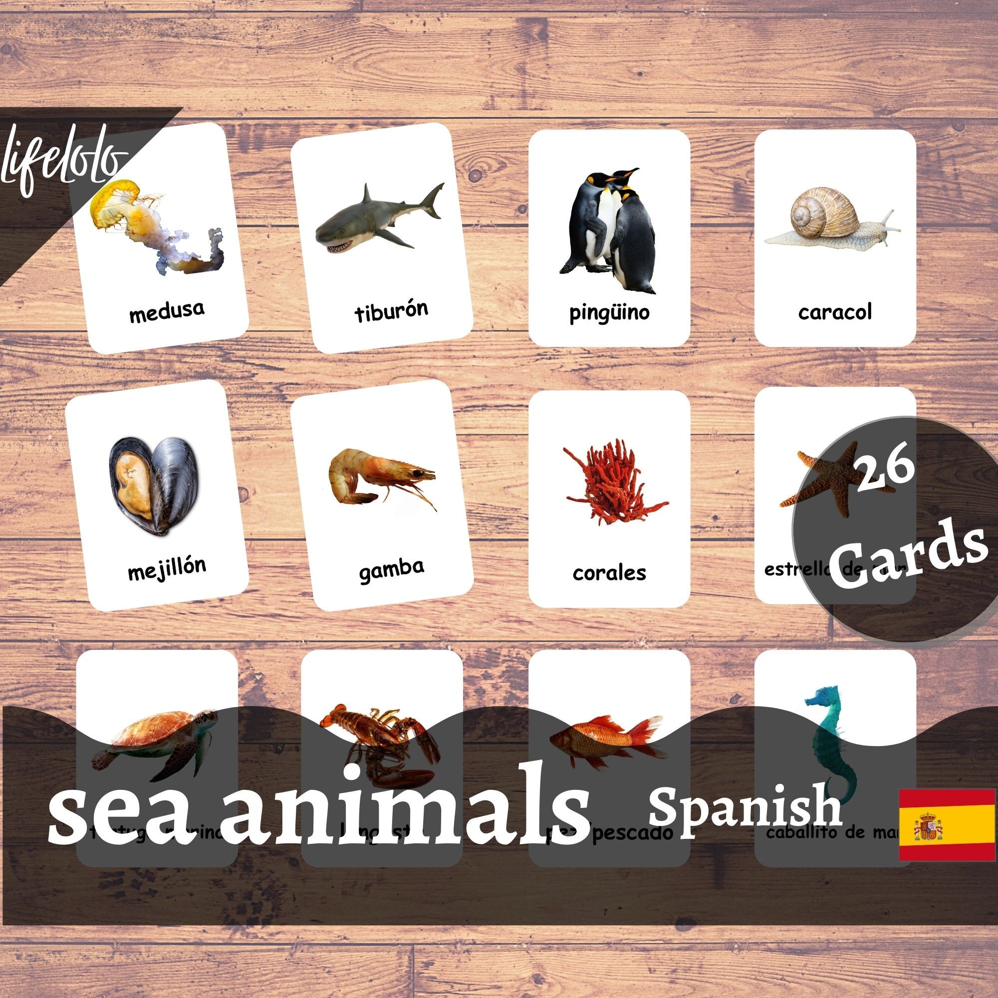 Sea Animals SPANISH Version English Bilingual Cards 26 - Etsy