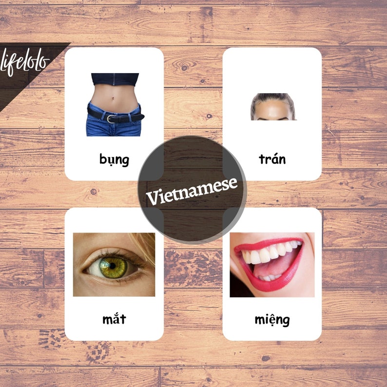 Body Parts real VIETNAMESE English Bilingual Cards 24 - Etsy