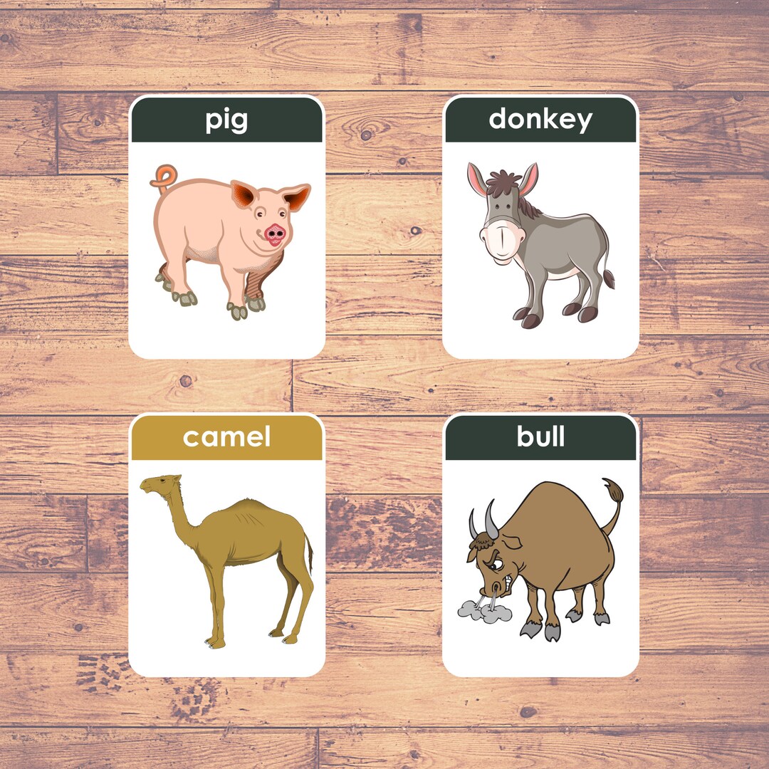 Farm Animals (27 Cards) - Flashcards | Montessori | Homeschooling ...