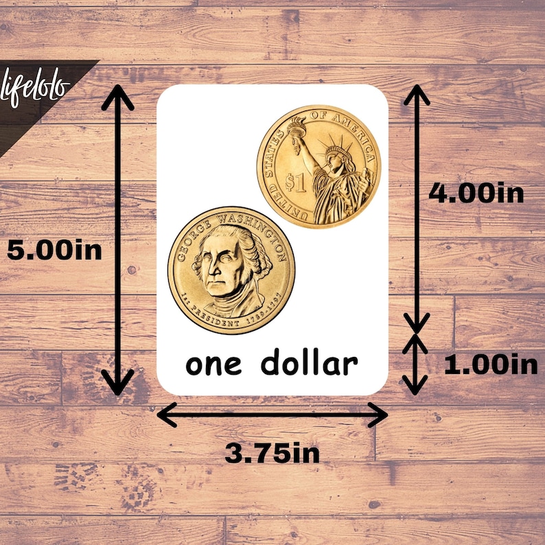 Money Flash Cards 17 Montessori Cards US Coins Memory | Etsy