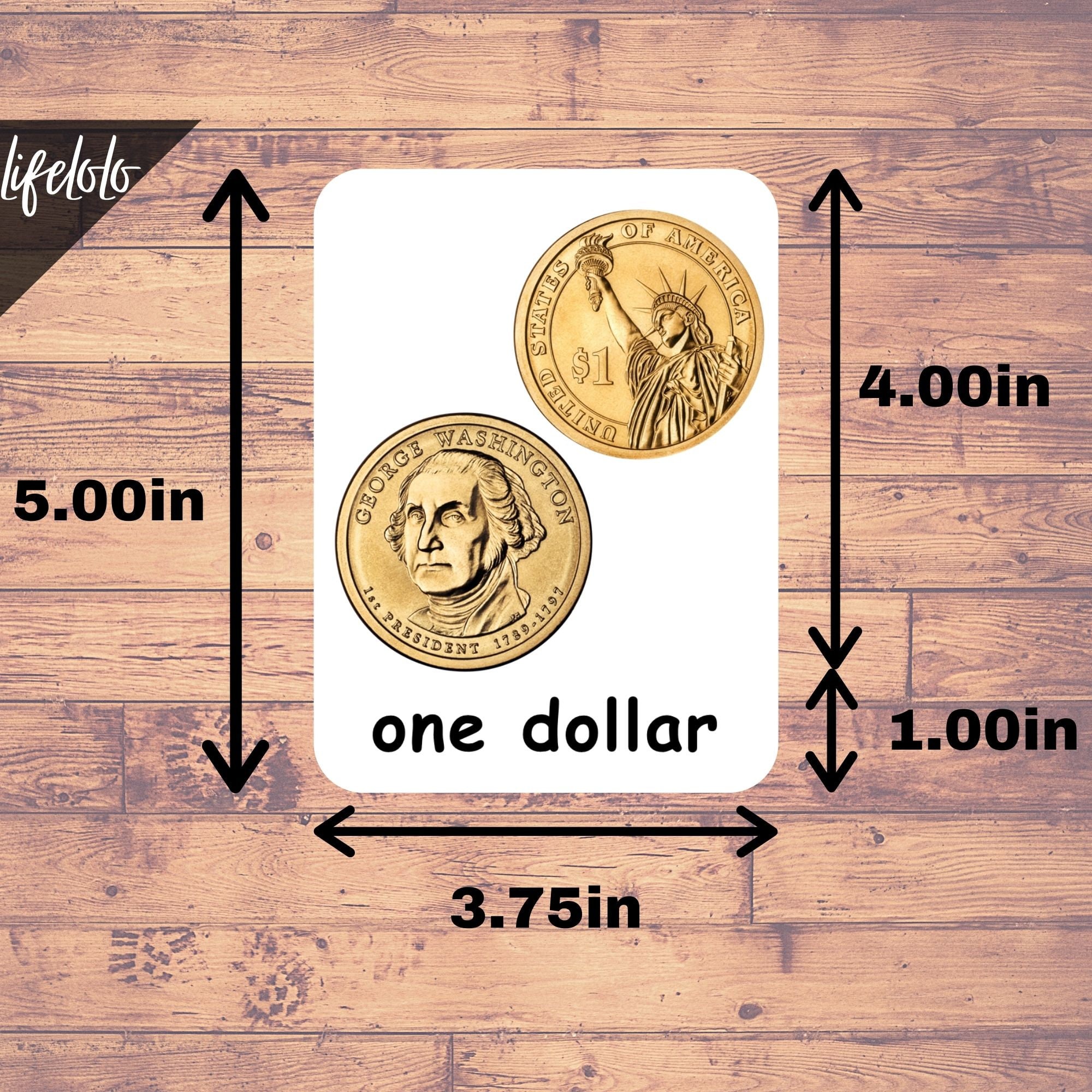 Money Flash Cards 17 Montessori Cards US Coins Memory | Etsy