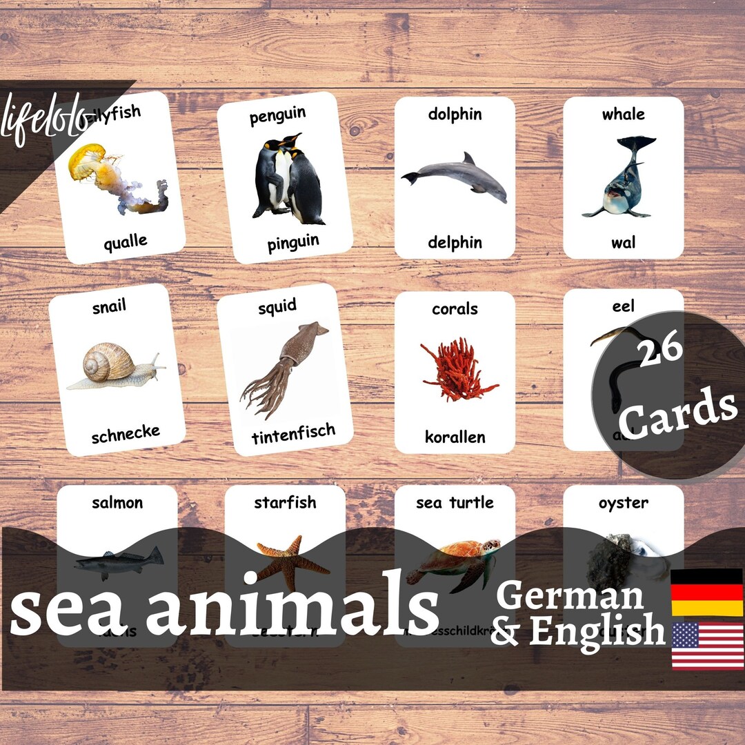 Sea Animals GERMAN Version - English Bilingual Cards | 26 German Flash ...