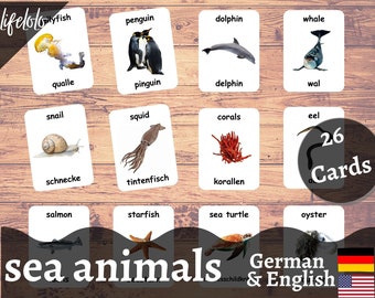 Solar System Armenian Flash Cards English Bilingual Cards - Etsy