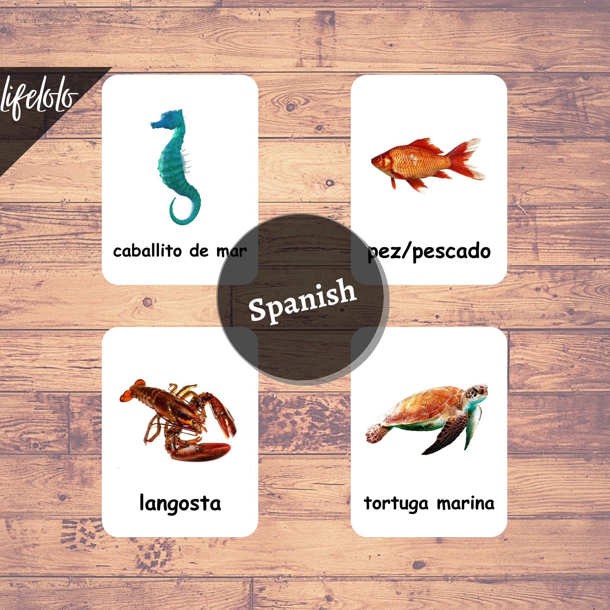 Sea Animals SPANISH Version English Bilingual Cards 26 - Etsy