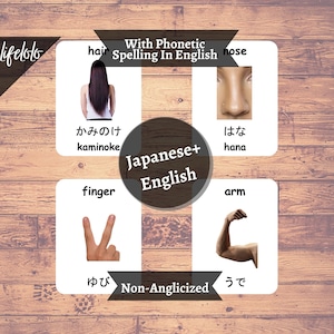 Body Parts (real) | JAPANESE | English Bilingual Cards | 24 Japanese ...