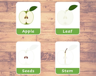 Montessori 3 Part Cards Parts of an Apple - Etsy