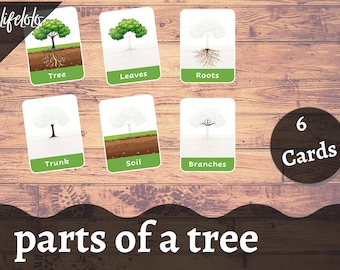 Montessori 3 Part Cards- Parts of a Tree - Etsy