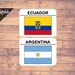 SOUTH AMERICA FLAGS 12 Flash Cards, Montessori Cards, Homeschooling ...