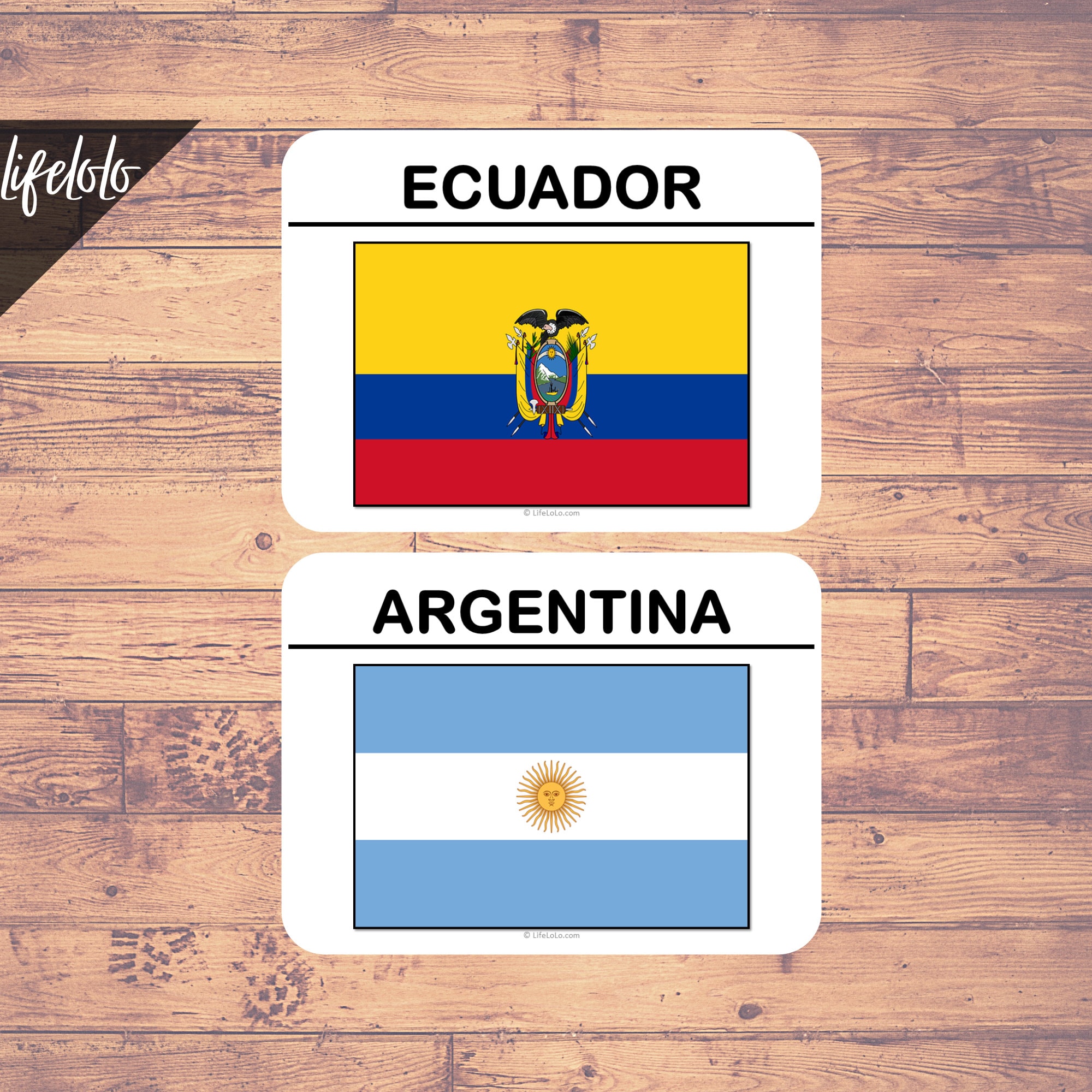 SOUTH AMERICA FLAGS 12 Flash Cards Montessori Cards - Etsy