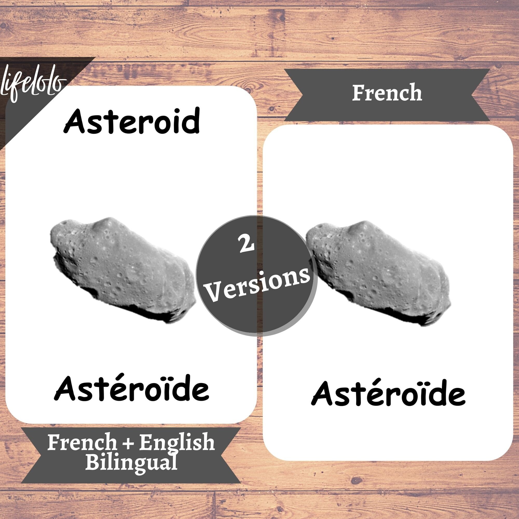 Solar System French Flash Cards Montessori cards French | Etsy