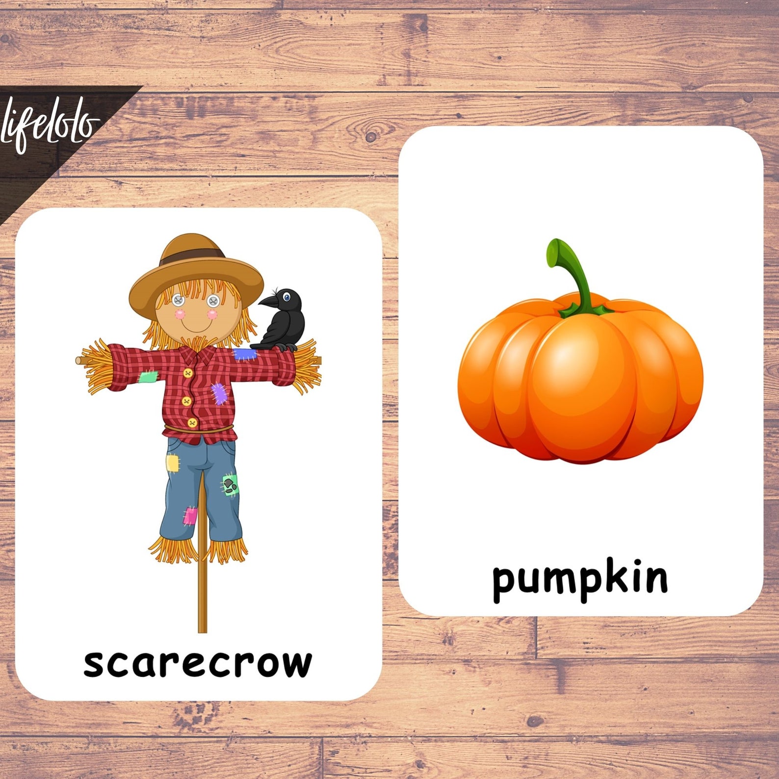 THANKSGIVING Vocabulary | 38 Flash Cards | Montessori Cards ...