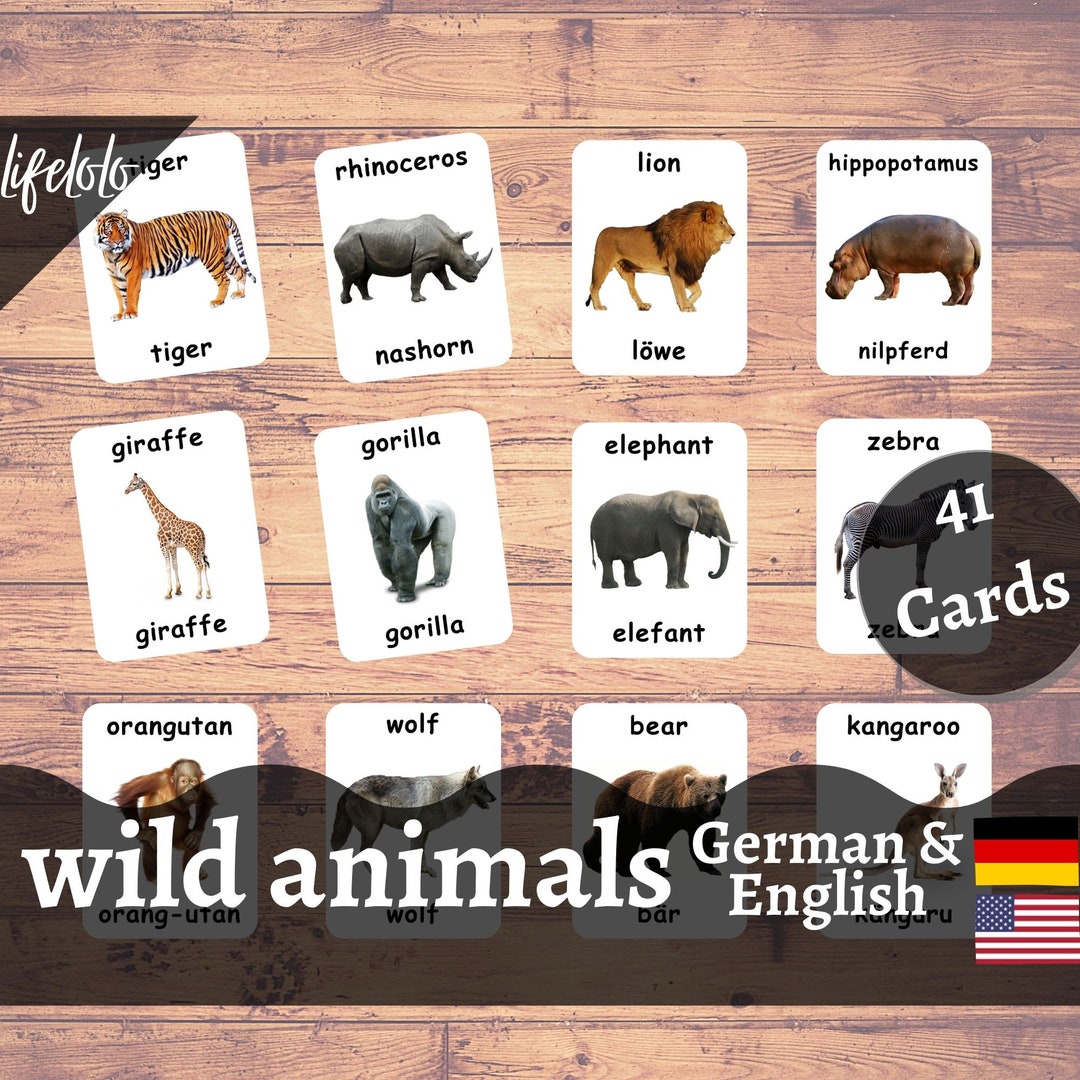 Wild Animals GERMAN Version - English Bilingual Cards | 41 German Flash ...