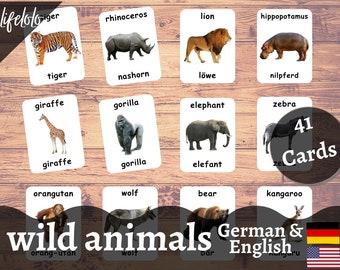 Solar System Armenian Flash Cards English Bilingual Cards - Etsy