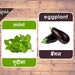 Vegetables Flash Cards in HINDI, REAL Pictures, 48 English Bilingual ...