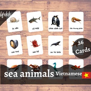 Sea Animals VIETNAMESE Version English Bilingual Cards 26 Vietnamese ...