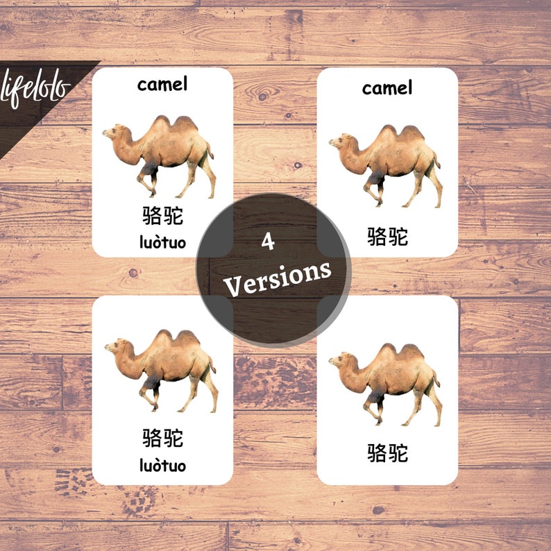 Farm Animals SIMPLIFIED CHINESE English Bilingual Cards - Etsy