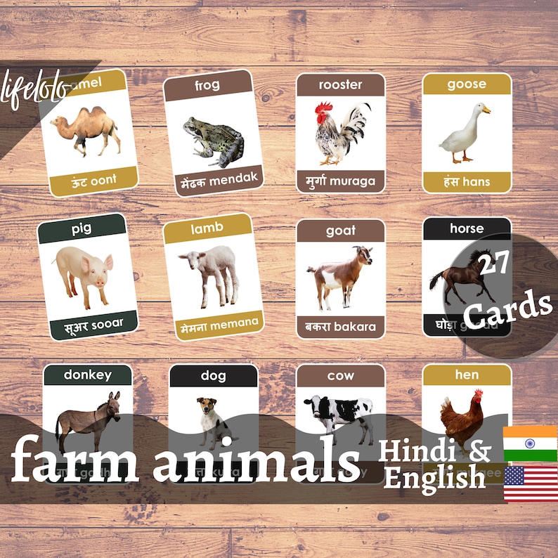 Printed Laminated Cards Farm Animals real Images - Etsy