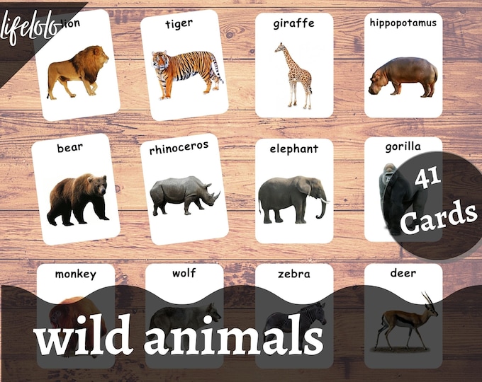 Ultimate Animal Flashcard Collection 114 Zoo Animal Flashcards ...