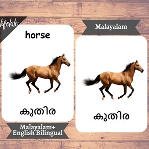 Farm Animals | MALAYALAM | English Bilingual Cards | 27 Malayalam ...