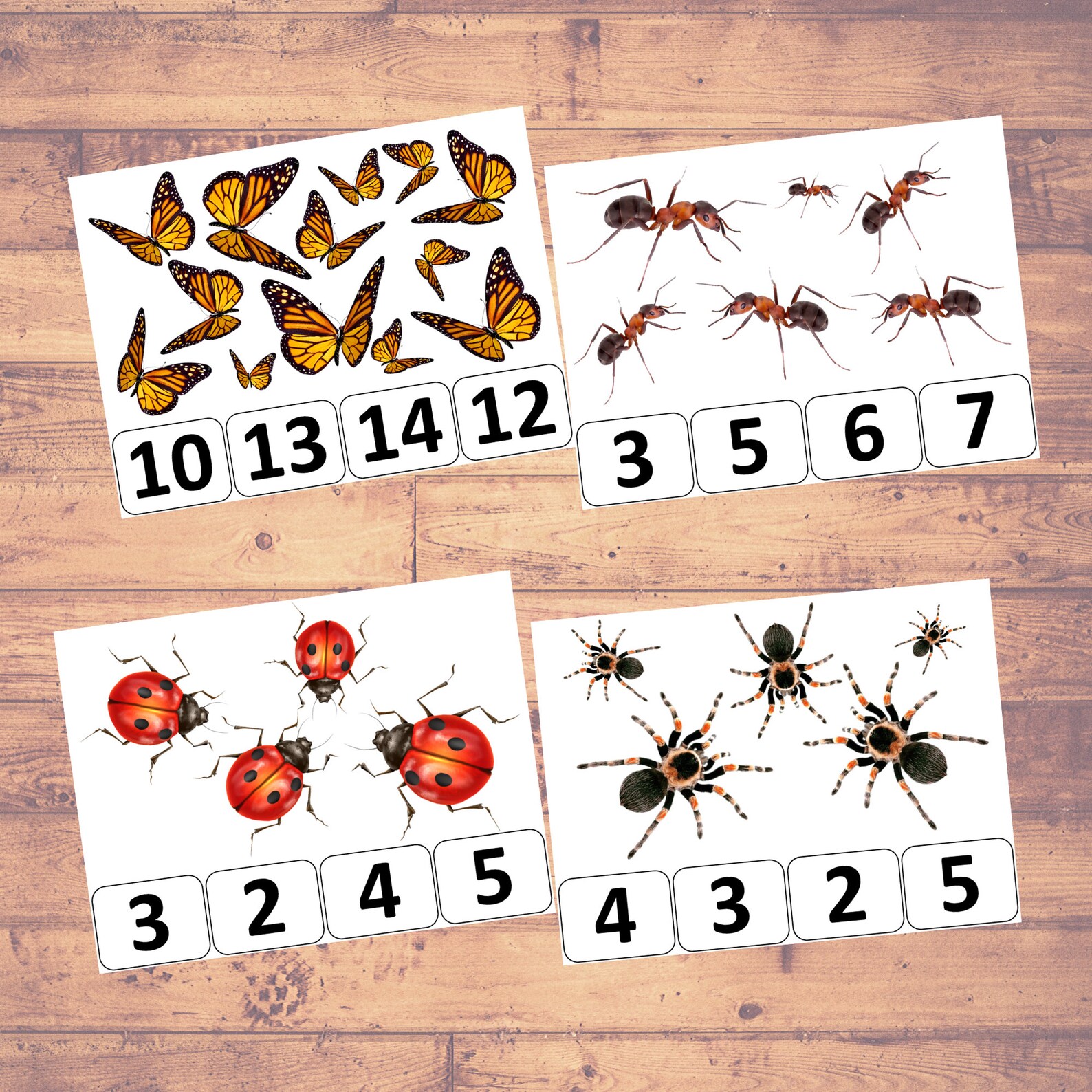 Counting Insects Counting Clip Cards Math Montessori - Etsy