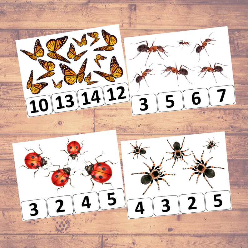 Counting Insects - Counting Clip Cards | Math | Montessori ...