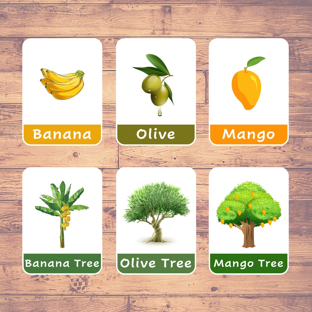 Trees & Fruits Matching (22 Cards) - Sorting Cards | Matching Cards ...