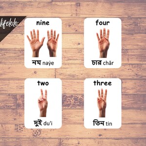 BENGALI Numbers in Words, Counting Flashcards, Learn Bengali, Toddler ...