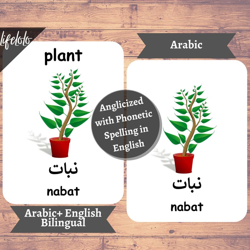 Household Items ARABIC Flash Cards Bilingual Cards - Etsy