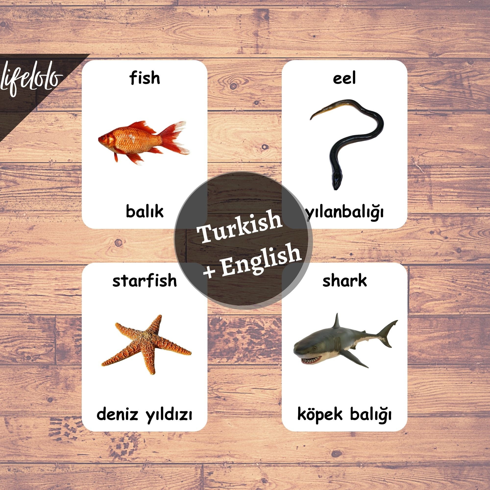 Sea Animals TURKISH Version English Bilingual Cards 26 - Etsy