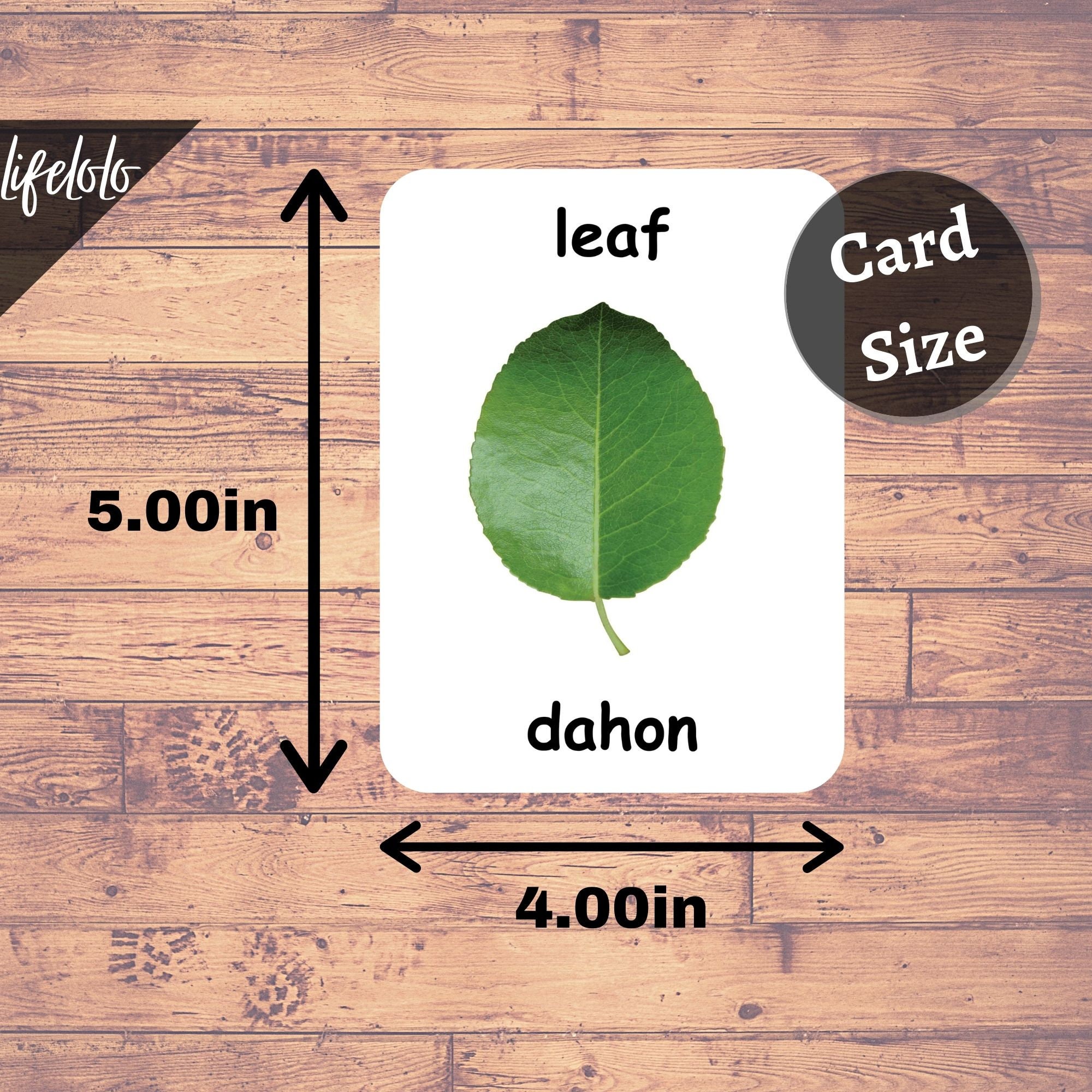 First Words FILIPINO Version English Bilingual Cards 48 | Etsy