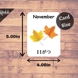 Months of the Year JAPANESE Flash Cards, 12 Bilingual Cards, Montessori ...