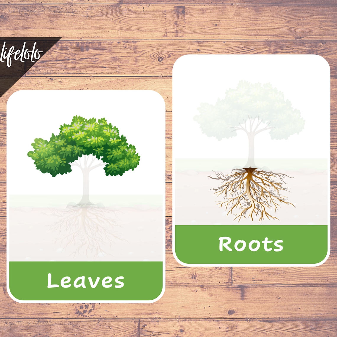Parts of a TREE 6 Cards Flash Cards Montessori Cards | Etsy