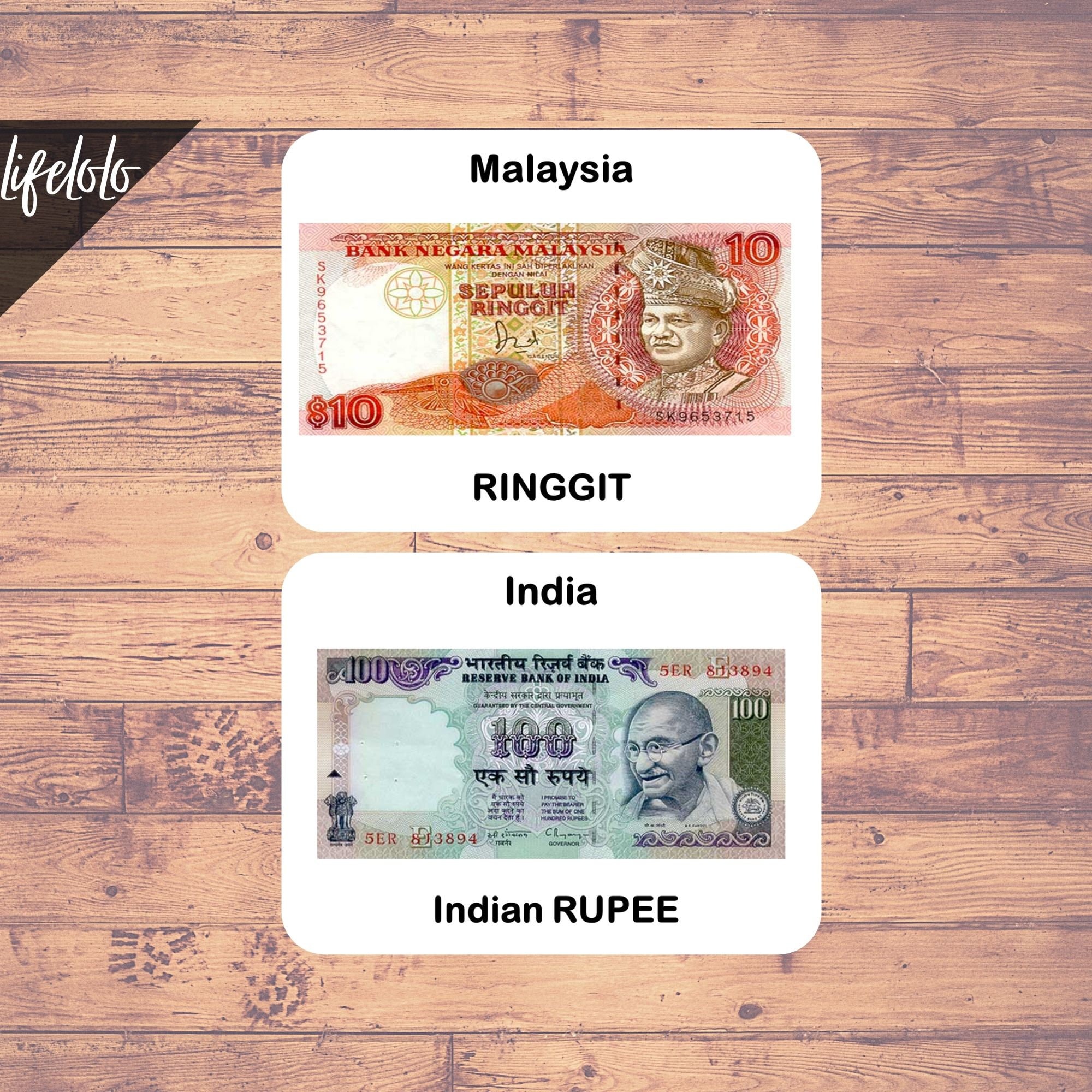 World Currency Flash Cards Montessori Cards Kids Printable - Etsy