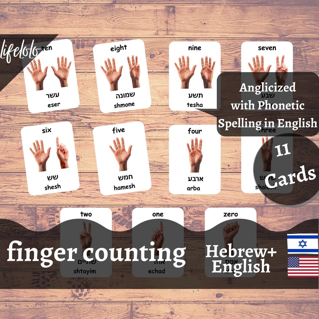 HEBREW Numbers, Counting Flashcards, Learn Hebrew, Toddler Games ...