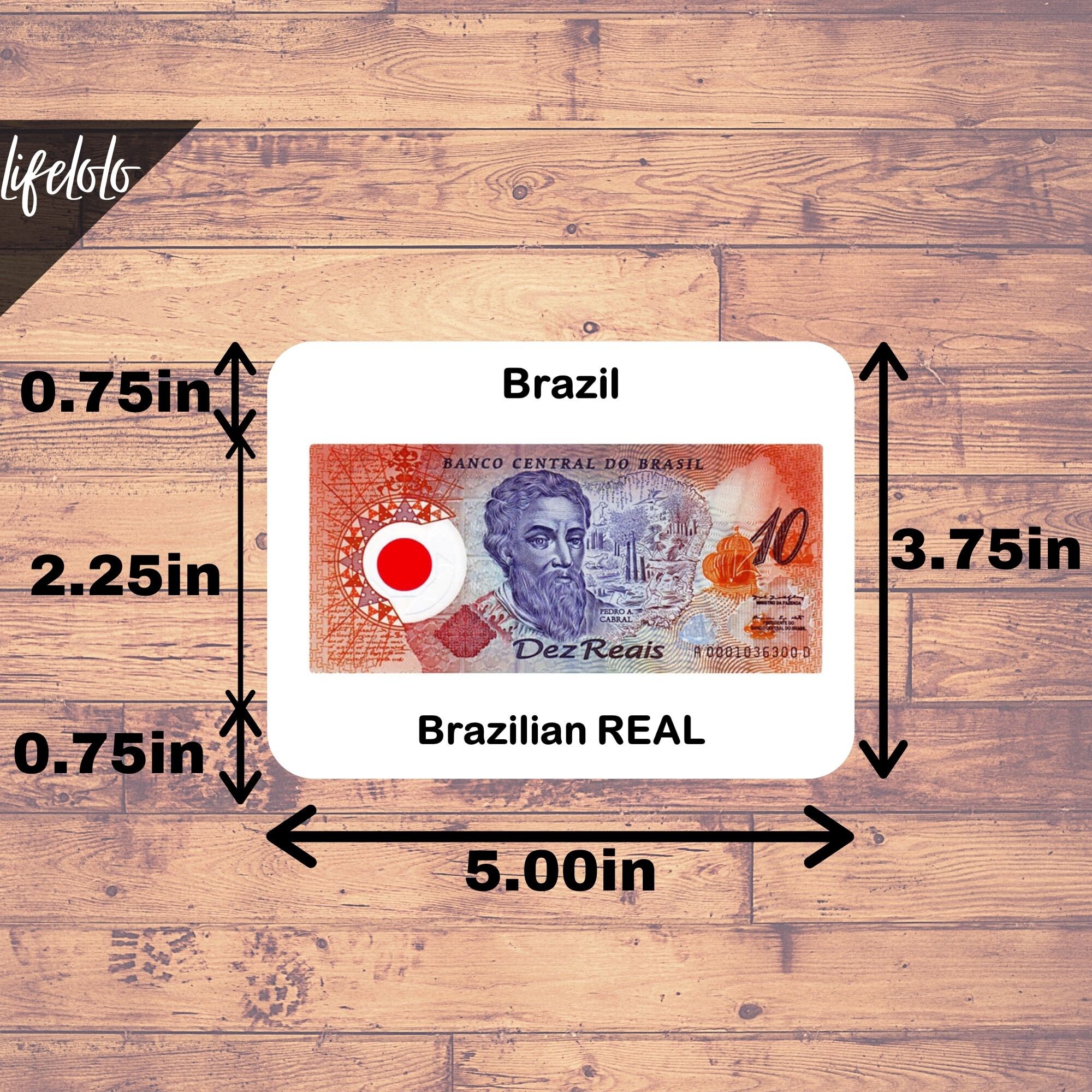 World Currency, Flash Cards, Montessori Cards, Kids Printable ...