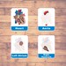 Human Heart Anatomy 16 Montessori Cards Parts of Heart Homeschooling ...