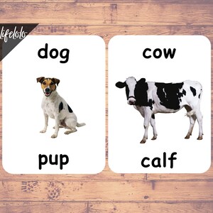 Animal Babies Flash Cards, Montessori Cards, Nursery Printable ...