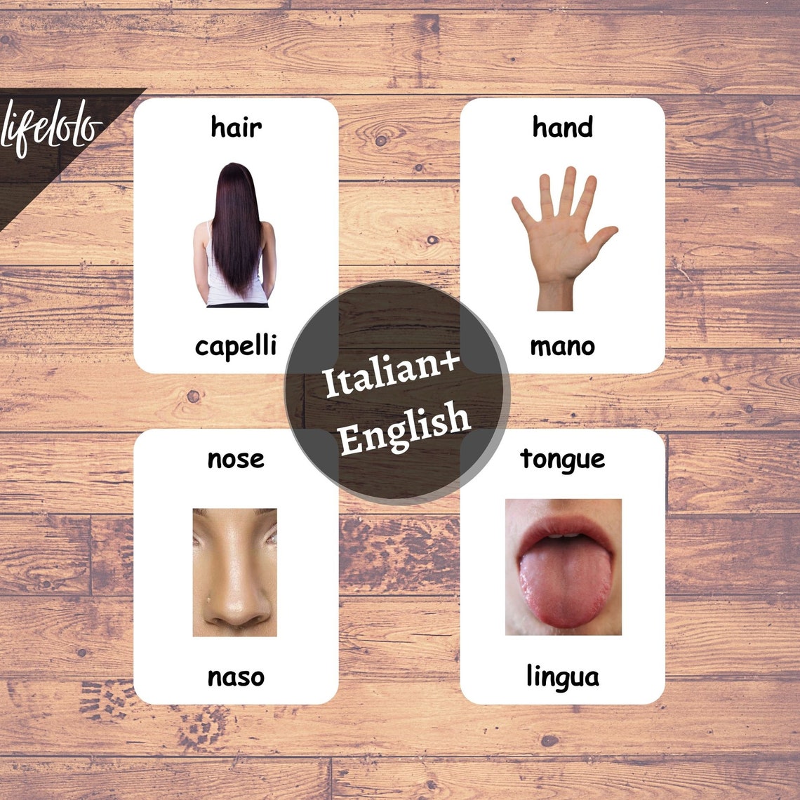 Body Parts real ITALIAN English Bilingual Cards 24 - Etsy